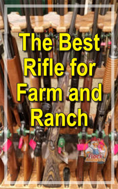The Best Rifle for Farm and Ranch - Countryside